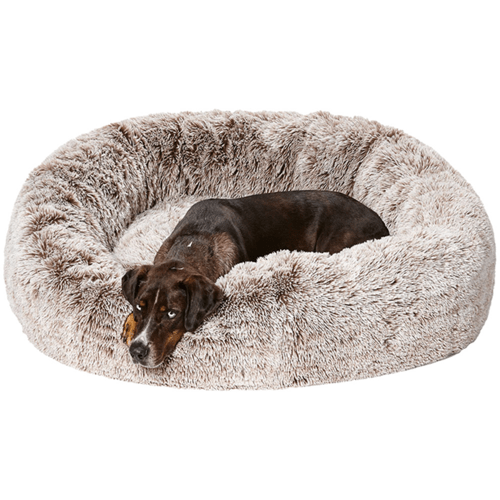 בית לכלבים-Paw House. חנות חיות. פנסיון. אילוף