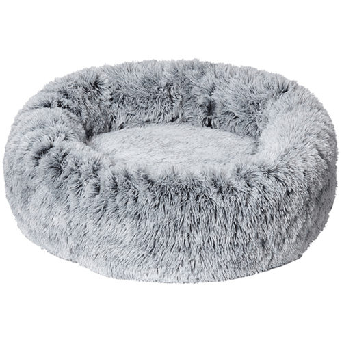 בית לכלבים-Paw House. חנות חיות. פנסיון. אילוף